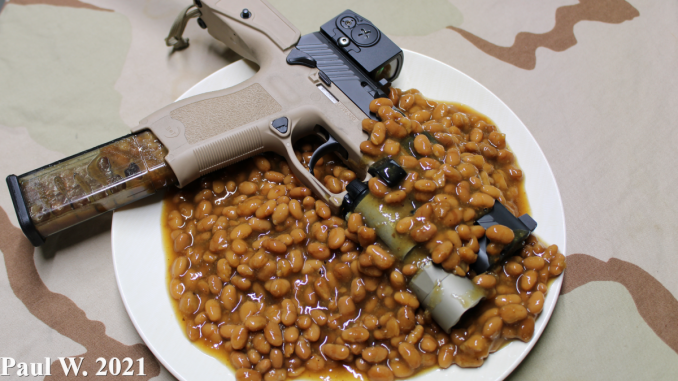 SIG M17 Review - A P320 Worth Buying? [2023] ⋆ Primer Peak