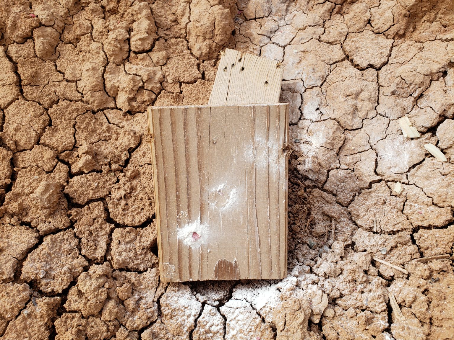 Byrna SD Less Lethal Launcher Review [2024] ⋆ Primer Peak